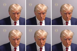 The MAGA Mugshot Cash in The Spectator World